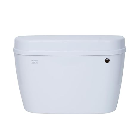 PARRYWARE UTSAV Series Polymer/PVC Single Flush System Exposed Cistern ...