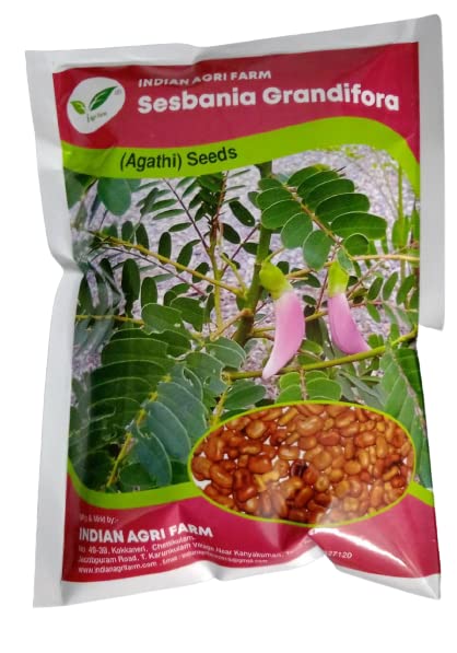 IAgriFarm® Sesbania/Agathi Seed Pack of 200 grms/Gaach - Munga/August ...