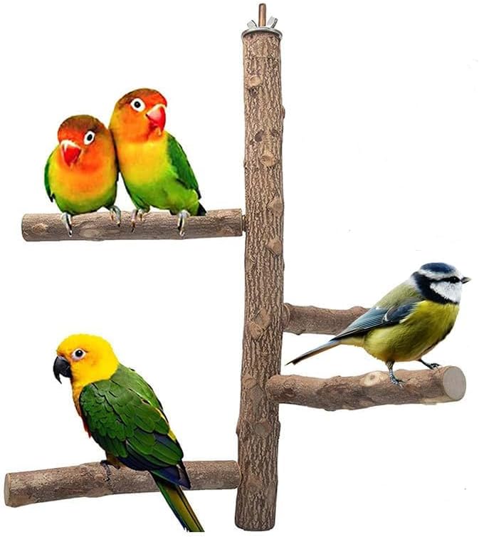 Amazon.com : PAWFECTJEE Natural Bird Perch Stand - Parrot Stand, Wood ...