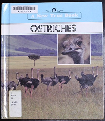 Ostriches (New True Book): Lepthien, Emilie U.: 9780516011936: Amazon ...