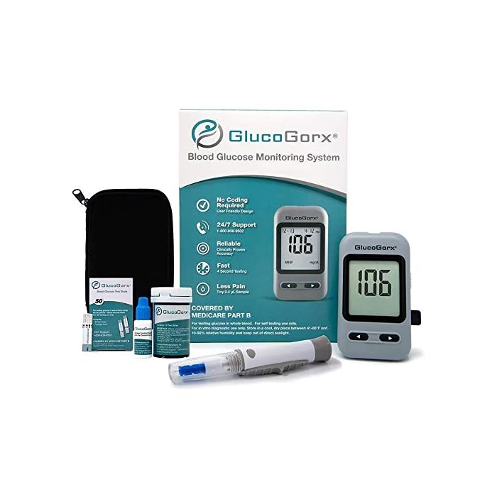 Buy GlucoGorx® Blood Glucose Testing Kit - 110 Blood Test Strips, 125 ...