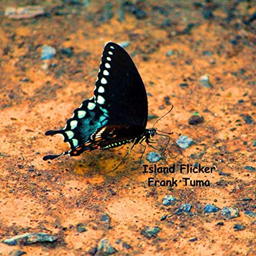 Island Flicker de Frank Tuma en Amazon Music Unlimited