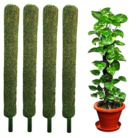 WoFLoo Moss Stick | Green Grass Pole for Plants Support | Moss Stick ...