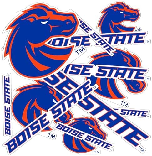 Amazon.com: Desert Cactus Boise State University Sticker Broncos Vinyl ...
