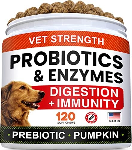 Amazon.com : Vet Strength Dog Probiotics Treats - 1 Billion CFU ...
