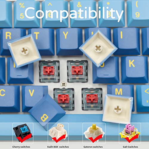 Electronikz - Custom Keycaps ，Cherry Profile， Dye Sublimation PBT ...