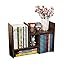 Amazon.com: VOVCIG Tree Bookshelf 3 Shelf Desktop Organizer Y Shaped ...