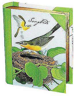 Michel Design Works Book Box Notecards, Songbirds : Amazon.in: Office ...