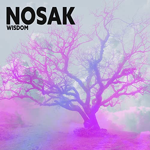 Play Wisdom by Nosak on Amazon Music
