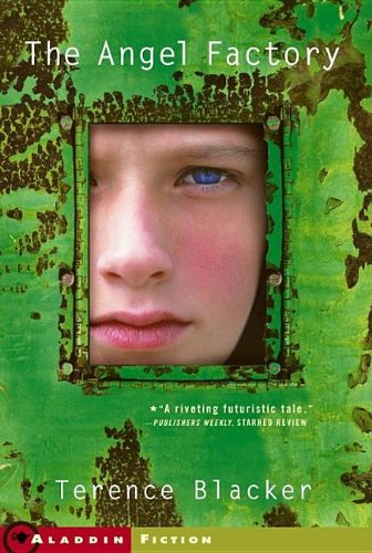 Angel Factory: Terence Blacker: 9780613925167: Amazon.com: Books