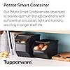 Amazon.com: Tupperware Brand Potato Smart Container - Extends the Shelf ...