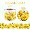 Amazon.com: Bulletin Board Borders, Sunflower Bulletin Board ...