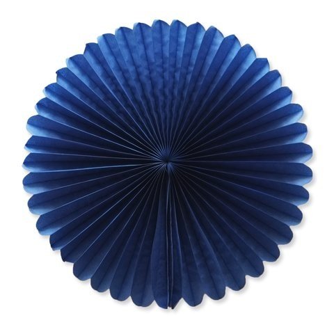 Funcart Navy Blue Paper Fan 16 Inches : Amazon.in: Home & Kitchen