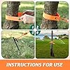 Amazon.com : Sintuff 36 Pcs Heavy Duty Tree Stake Kits Stake and ...