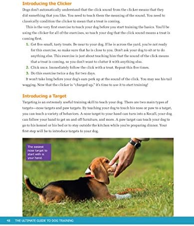 A Good Sentence For Dogs