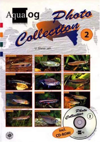 Buy AquaLog Photo Collection, No. 2: Tetras I: v. 1 (Aqualog Photo ...