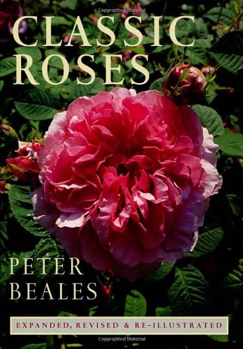 Amazon | Classic Roses | Beales, Peter | Roses