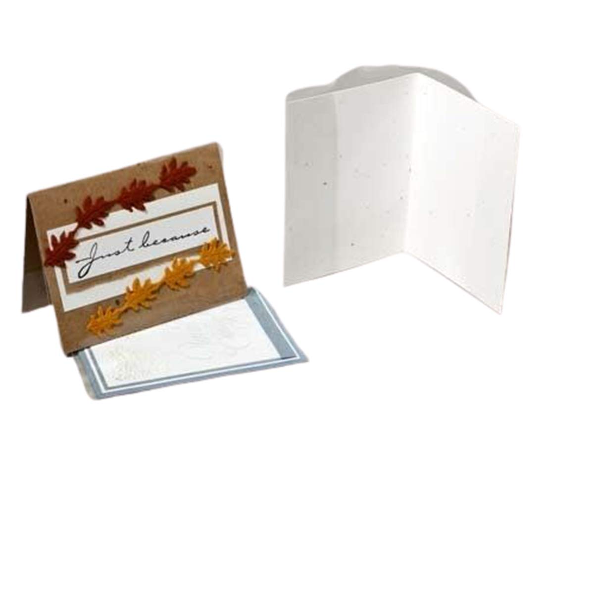 Amazon.com : Pack of 100 Greeting Card Jackets Clear for Envelope ...