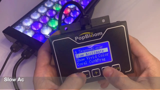 Watch PopBloom 2xT30 Reef LED Lights for Coral Marine Fish Tank on Amazon Live