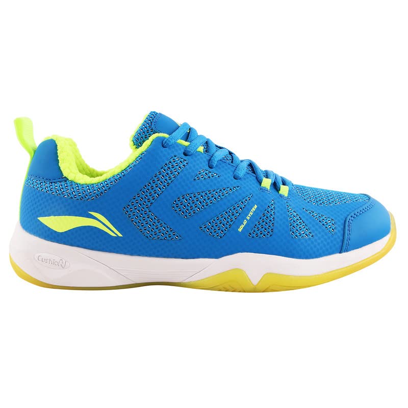 Buy Li-Ning Cloud ACE III Men's Non-Marking Badminton Shoes for Mens ...