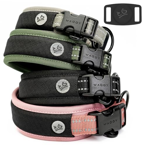 Padded Dog Collars – The 15 best products compared - Wild Explained