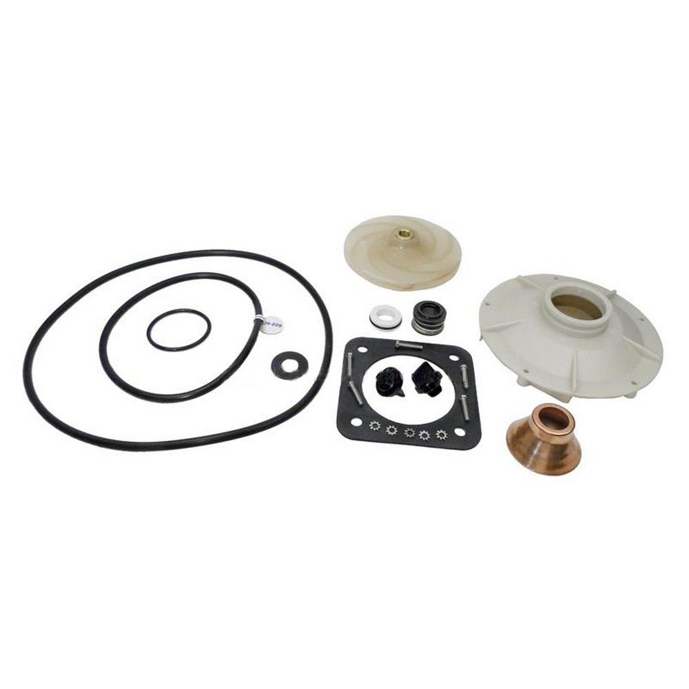 Amazon.com: Pentair PP1016 Overhaul Replacement Kit Sta-Rite Pool and ...