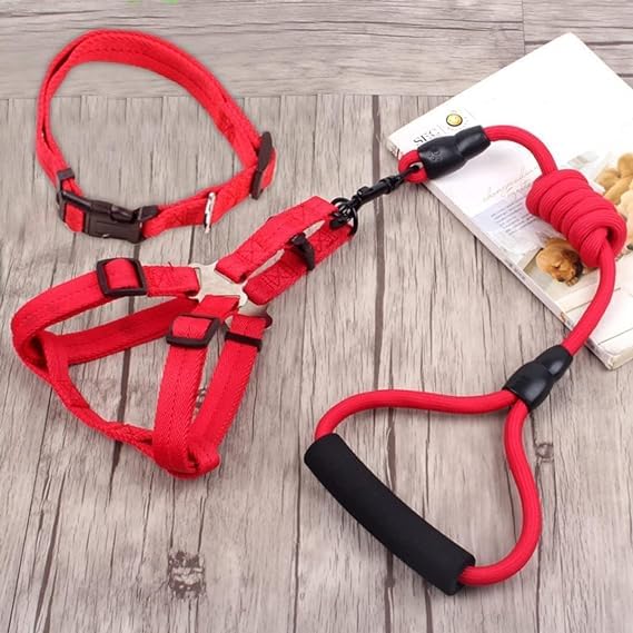 Buy VIPREKHO pet Leash Gifts pet Present Dog Leash kit Dog Walking Set ...