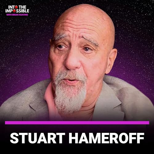 Stuart Hameroff: Is the Human Brain a Quantum Computer? (#353) | Into the Impossible With Brian ...
