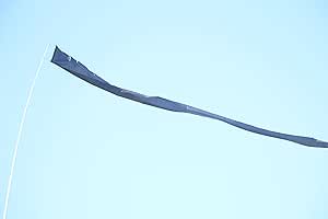 Amazon.com: EEZ RV Products 25' Long (Black) Wind Streamer, Great for ...