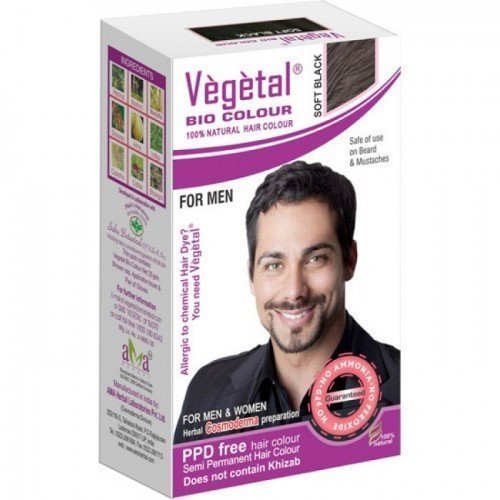 Buy Vegetal Bio Hair Colour, Soft Black, 25g Online at Low Prices in ...