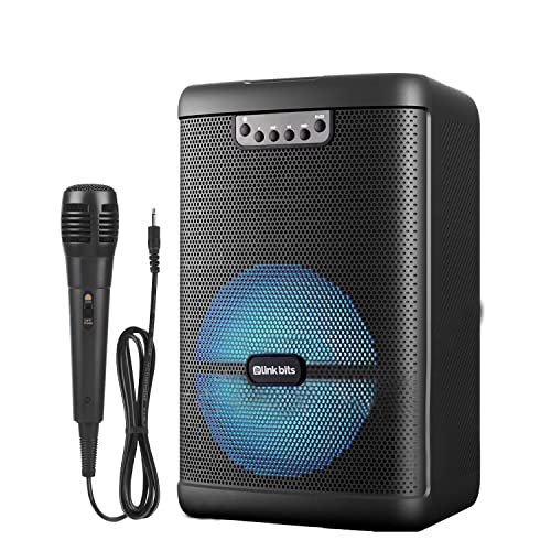 Los 10 Mejores Modelos De Microfono Con Bocina