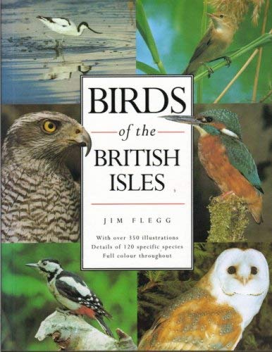Birds of the British Isles: Jim Flegg: 9781856056014: Amazon.com: Books