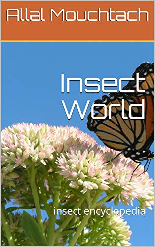Insect World: insect encyclopedia eBook : Mouchtach, Allal: Amazon.in ...