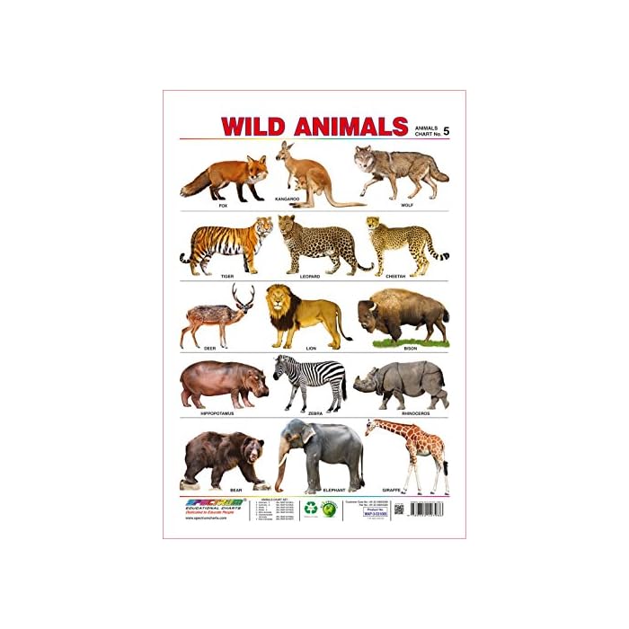 Buy Spectrum Pre - School Kids Learning Poster Educational Wild Animals ...