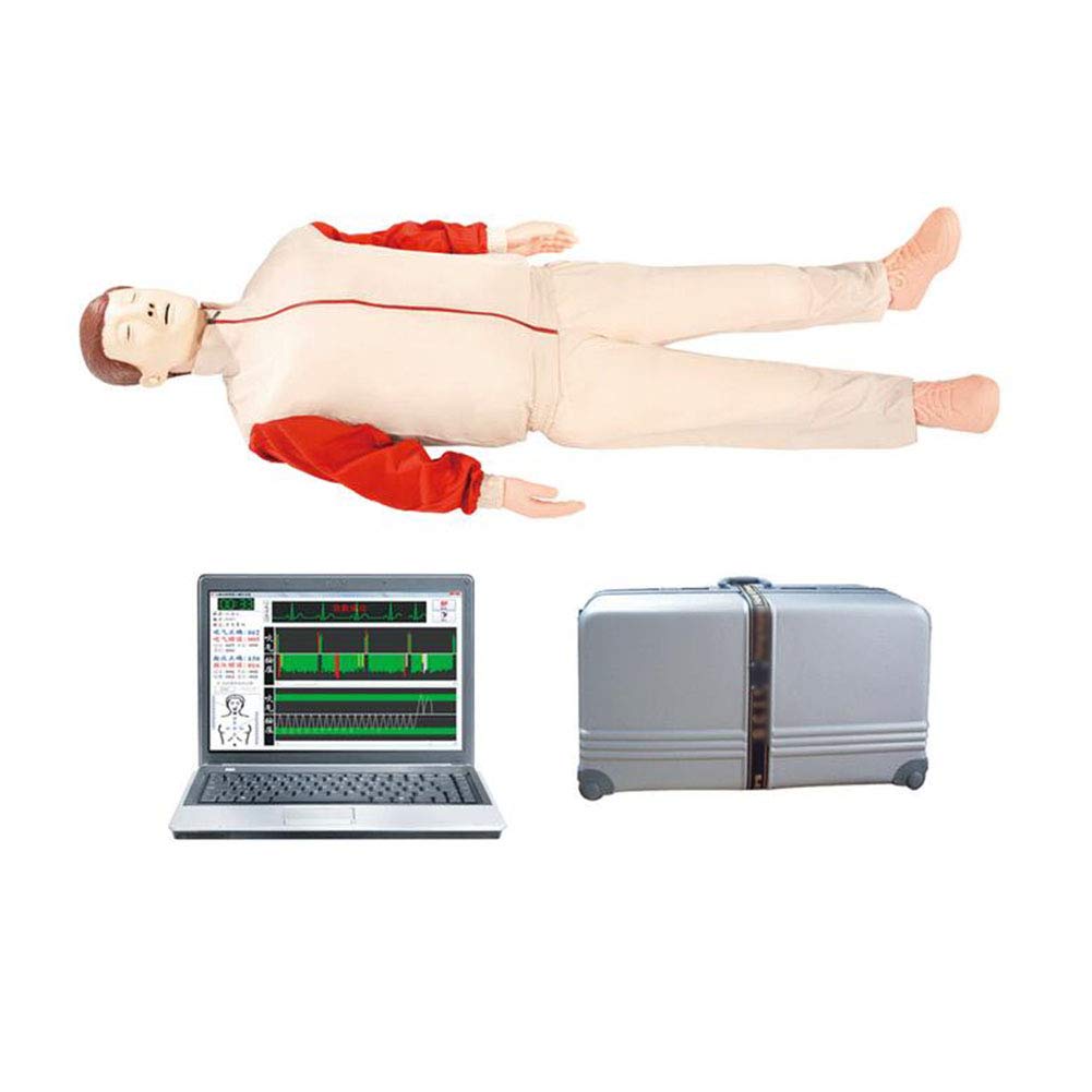 Buy Cardiopulmonary Resuscitation Simulator Full Body CPR Monitor Care ...