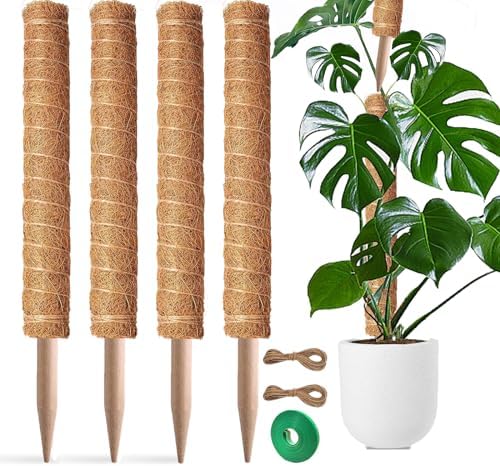 Amazon.com : Moss Pole -4Pack 17Inch Monstera Plant Support for ...