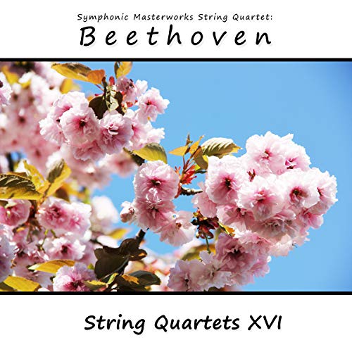 Amazon.com: Beethoven: String Quartets, Vol. 16 : Symphonic Masterworks ...