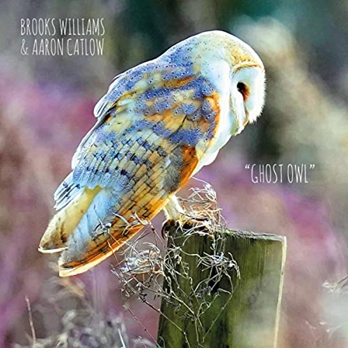 Amazon.co.jp: Ghost Owl : Brooks Williams & Aaron Catlow: デジタルミュージック