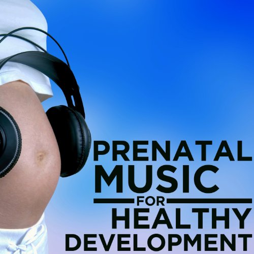 Amazon.com: Prenatal Music for Healthy Development : Pianissimo ...