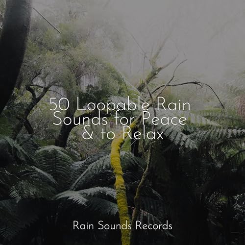 Spiele 50 Loopable Rain Sounds for Peace & to Relax von Cascada de ...