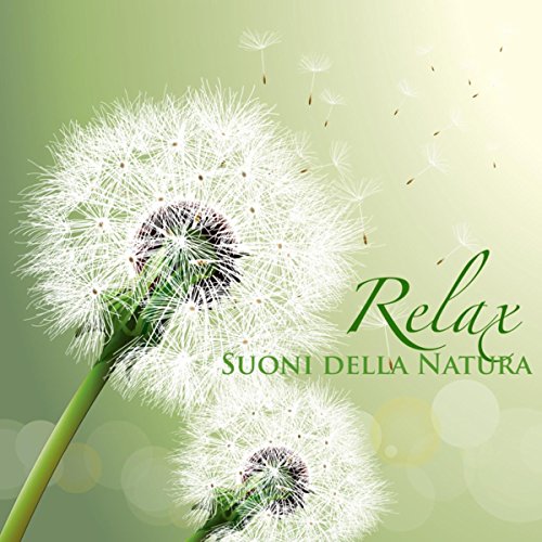 Play Relax Suoni della Natura - Musica per Rilassamento, Benessere e ...