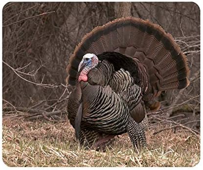 Amazon.com: Nicokee Gaming Mouse Pad Strutting Wild Turkey Non-Slip ...