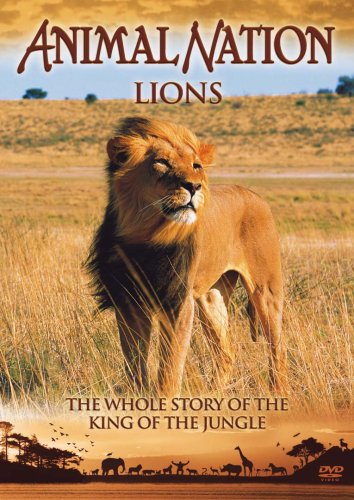 Amazon.it | Animal Nation - Lions [Edizione: Regno Unito]: Acquista in ...