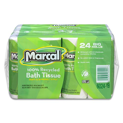 Marcal Toilet Paper, 100% Recycled, 2-Ply, White Bath Tissue - 168 ...