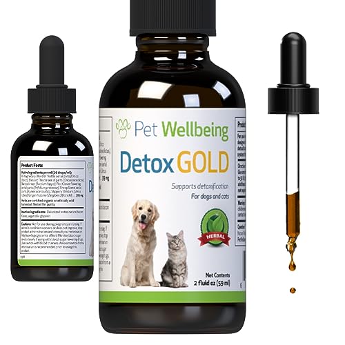 10 Best Natural Diuretic For Dogs