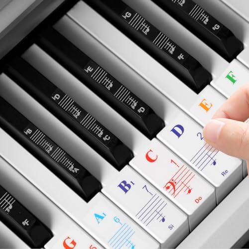 Amazon.com - Piano Key Stickers 88 Key Piano Notes Guide Removable ...