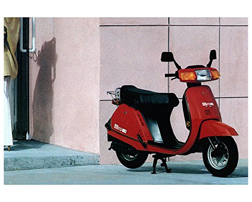Buy 1985 Honda Aero 80 Motor Scooter Factory Photo Online at ...