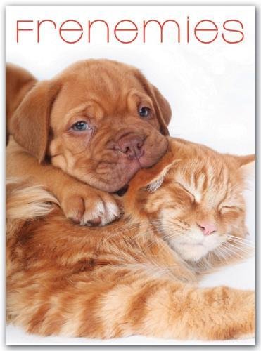 Frenemies: Boxed Note Cards (Blank for Greetings, Thank Yous ...