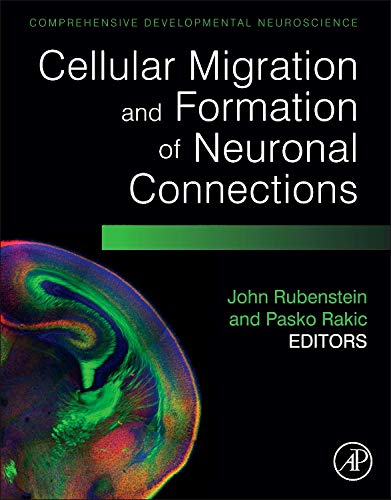 Cellular Migration and Formation of Neuronal Connections: Comprehensive ...