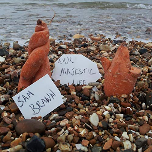 Play Our Majestic Life by Sam Brawn on Amazon Music